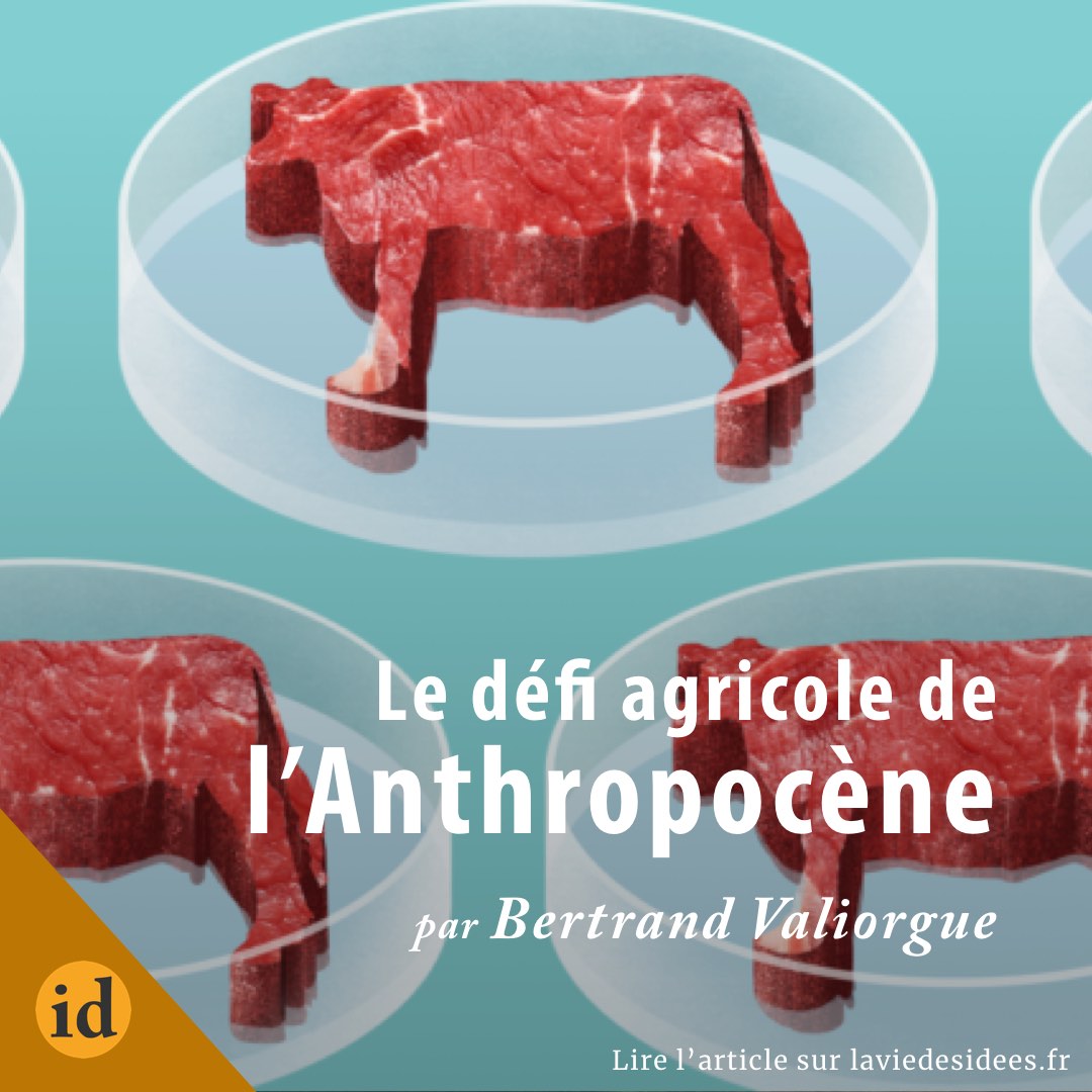 The Anthropocene: a Challenge for Agriculture - Books & ideas