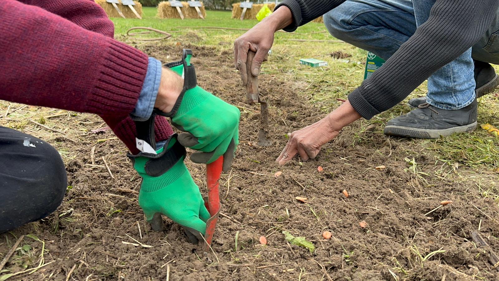 France’s multi-faceted agricultural empire - Books & ideas